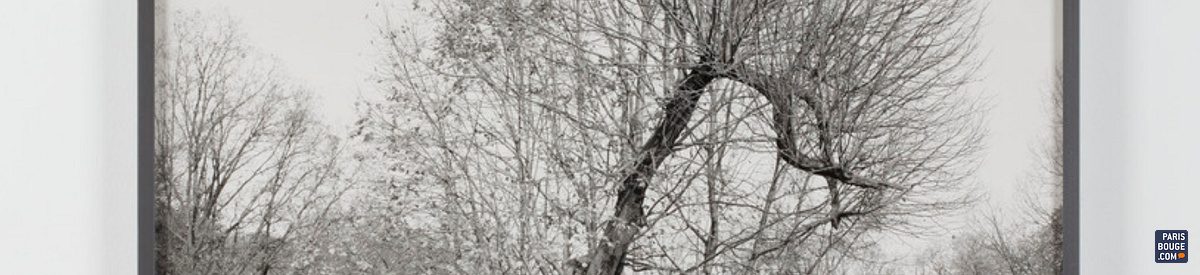 Dernières acquisitions du Comité pour la Photographie - Le MAM, Musée d ...