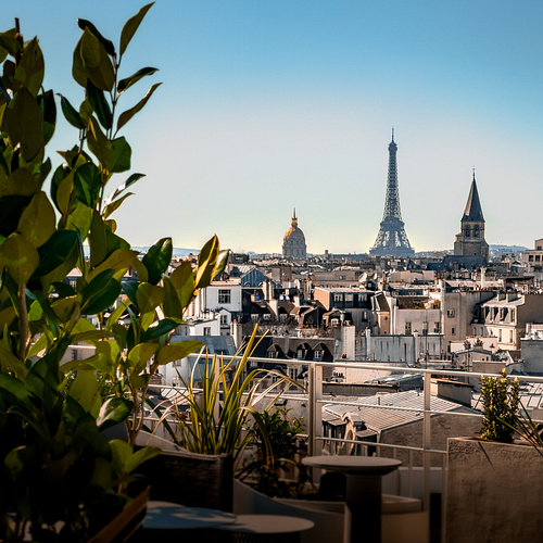 Hôtel Dame des Arts Hôtel Paris