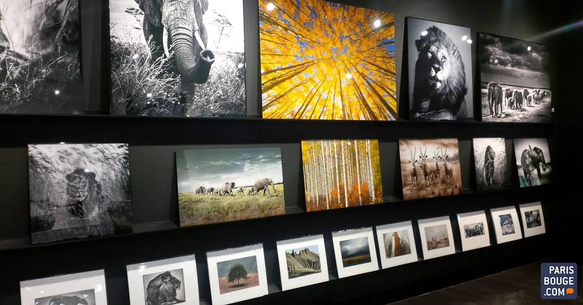 YellowKorner Paris Galerie d'art Shop Paris