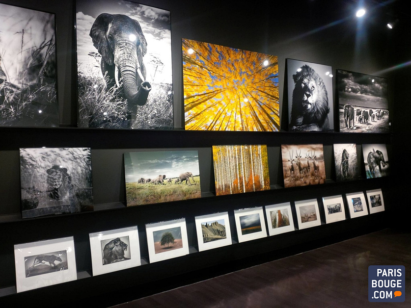 YellowKorner Paris Galerie d'art Shop Paris